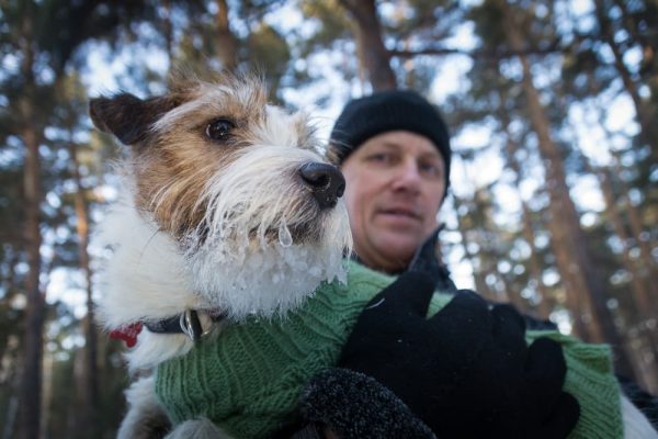Dog Dry Heaving: Causes and Treatment | Great Pet Care