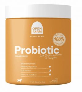 Vitamins and Minerals Required in Dog Nutrition | Great Pet Care