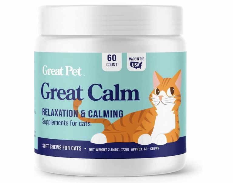 Melatonin for Cats | Great Pet Care