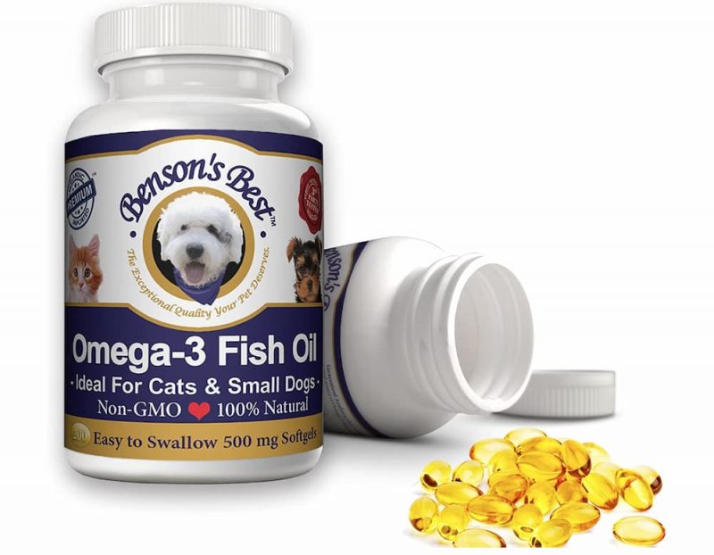 Omega 3 for Dogs: 6 Supplements to Try | Great Pet Care