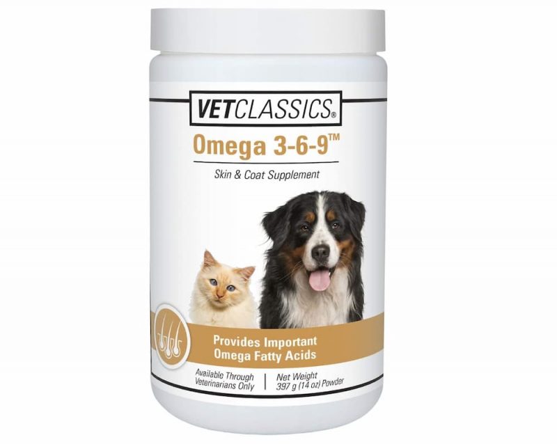 Omega 3 for Dogs: 6 Supplements to Try | Great Pet Care
