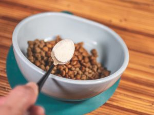 Tylan Powder for Dogs | Great Pet Care