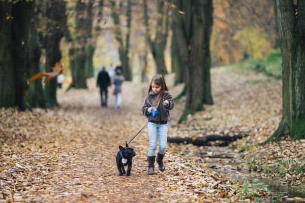 Are Acorns Bad For Dogs? | Great Pet Care