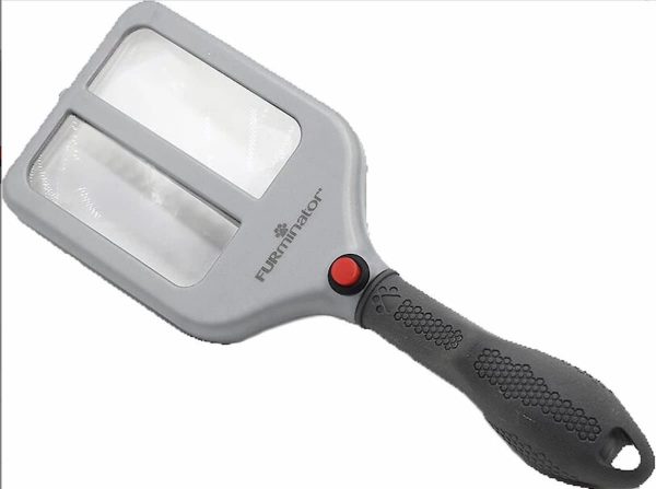 What Do Ticks Look Like on Dogs? | Great Pet Care