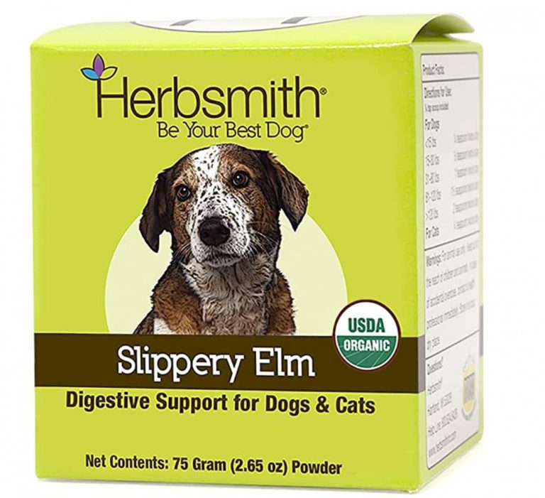 Slippery Elm for Dogs: Benefits and Uses | Great Pet Care