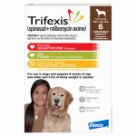 Best Dewormer for Dogs: 5 Vet-Approved Picks | Great Pet Care