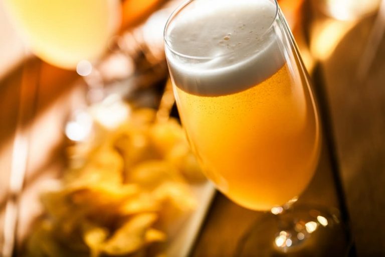 Can Dogs Drink Alcohol? | Great Pet Care