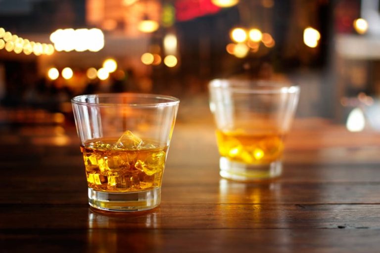 Can Dogs Drink Alcohol? | Great Pet Care