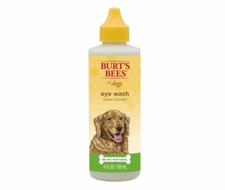 Eye Drops for Dogs: Types and How to Use Them | Great Pet Care