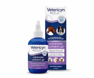Eye Drops for Dogs: Types and How to Use Them | Great Pet Care