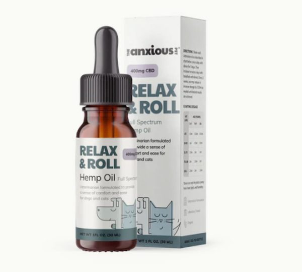 6 Vet-Approved Cat Sedatives for Travel | Great Pet Care