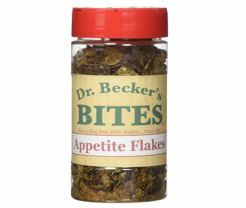 Appetite Stimulants for Dogs: 7 Vet-Recommended Picks | Great Pet Care