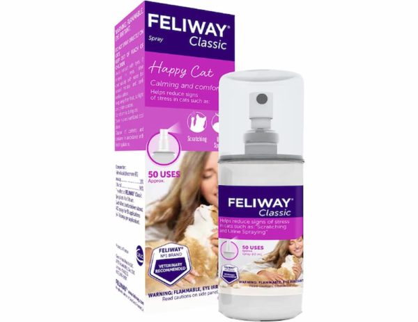 6 Vet-Approved Cat Sedatives for Travel | Great Pet Care