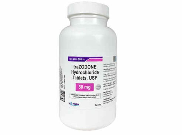 Best Vet-Approved Cat Sedatives for Travel | Great Pet Care