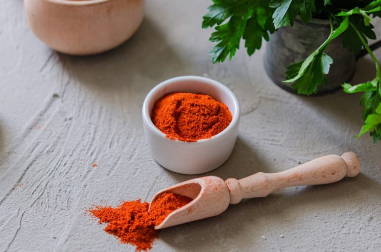 Can Dogs Eat Spicy Foods? | Great Pet Care