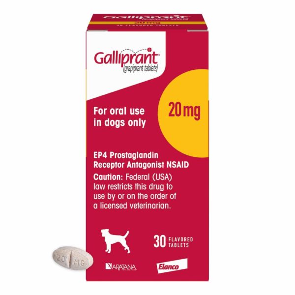 Galliprant for Dogs: Osteoarthritis Pain Relief | Great Pet Care