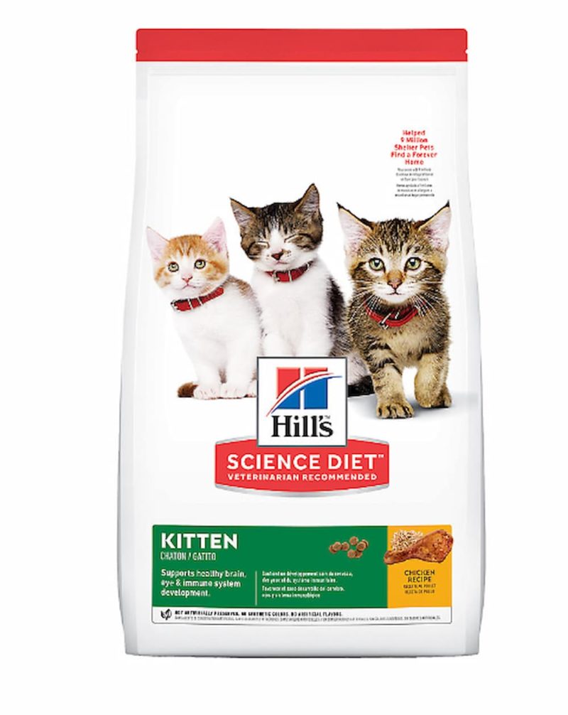 Hill's Science Diet Dry Cat Food Review: Nutrition That Fits Your ...