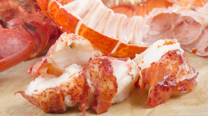 Can Dogs Eat Lobster? | Great Pet Care