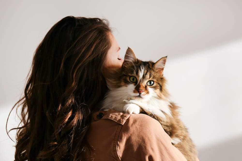 Cat Bad Breath: Causes and Solutions | Great Pet Care