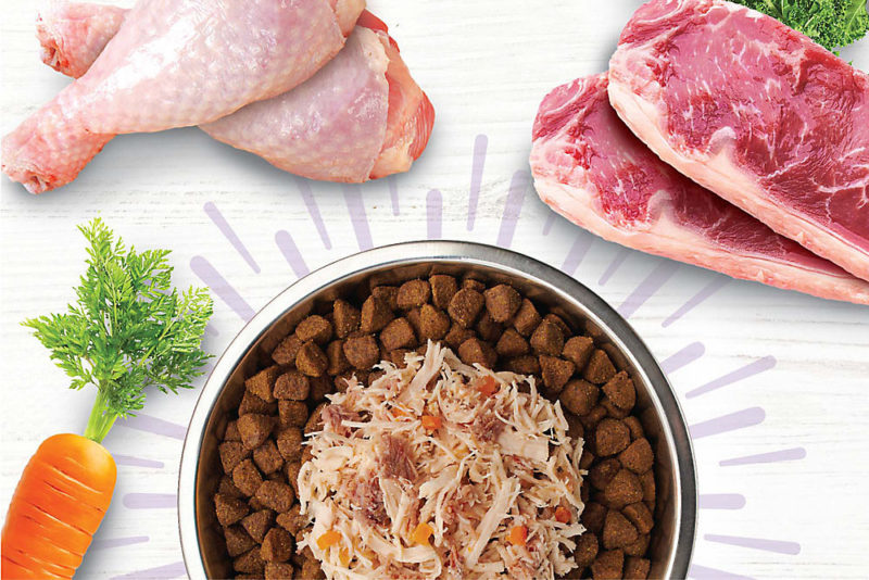 How to Use a Dog Food Topper | Great Pet Care