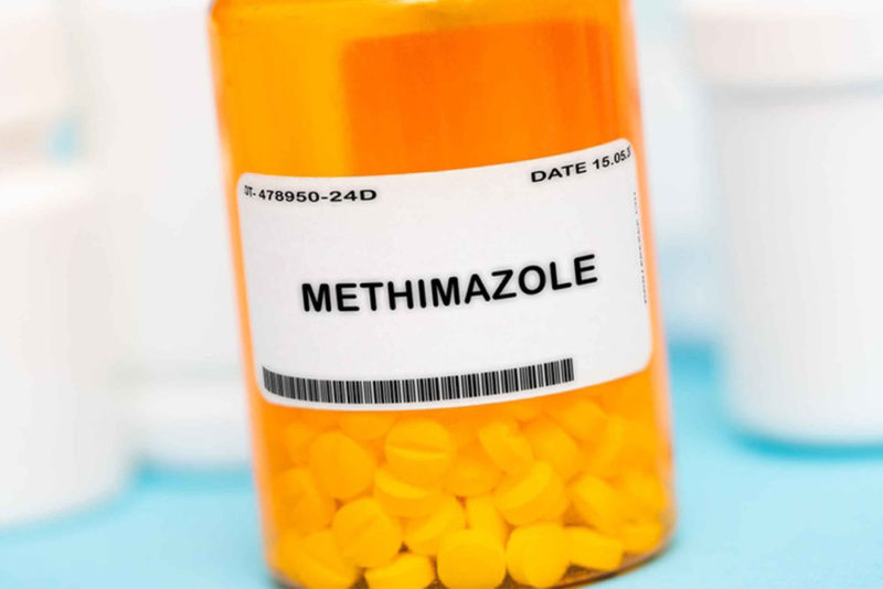 Methimazole for Cats | Great Pet Care
