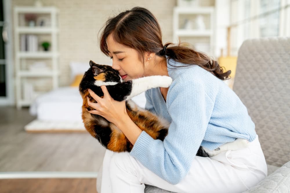 9 Ways to Show Your Senior Cat Some Extra Love | Great Pet Care