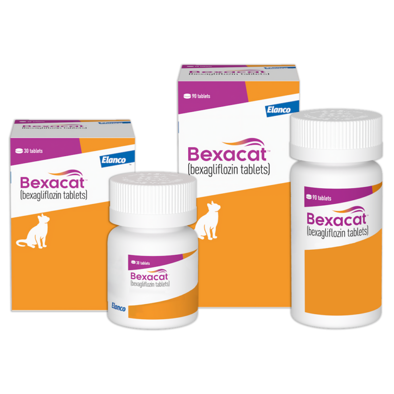 Bexacat: Oral Treatment for Cats with Diabetes | Great Pet Care