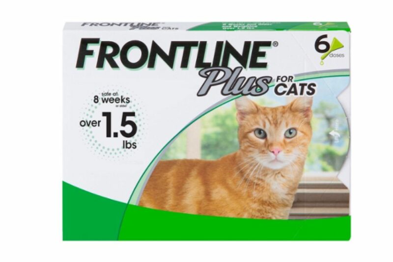 Flea Medicine for Cats: Vet-Recommended Pills, Topicals, and Collars ...