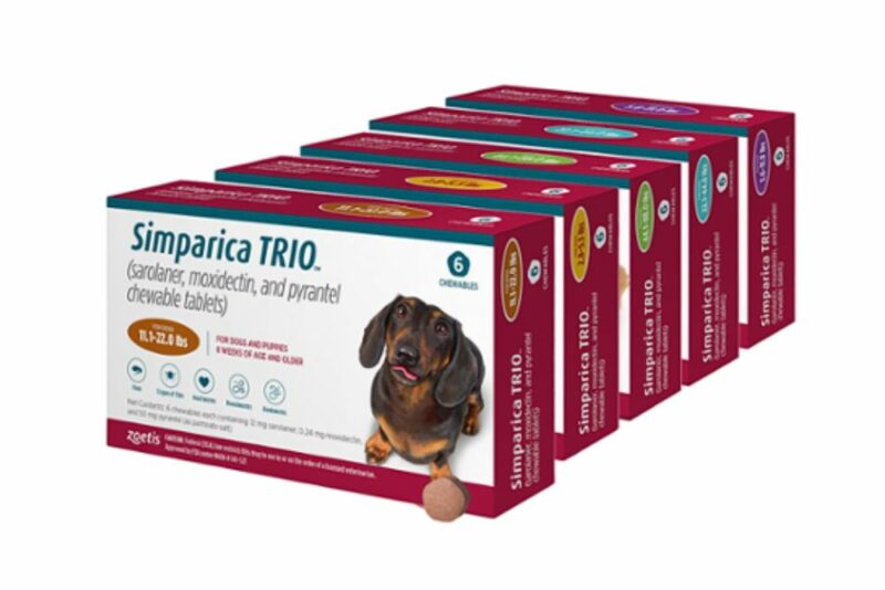 Is Simparica Trio Safe for Dogs? | Great Pet Care