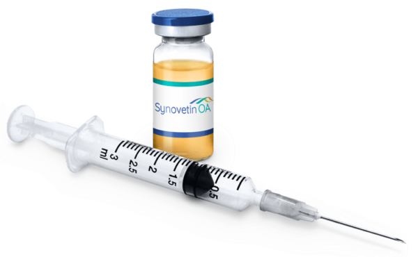 10 Best Arthritis Medications for Dogs | Great Pet Care