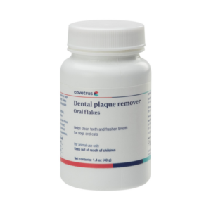 Healthy Cat Gums: What Should They Look Like? | Great Pet Care