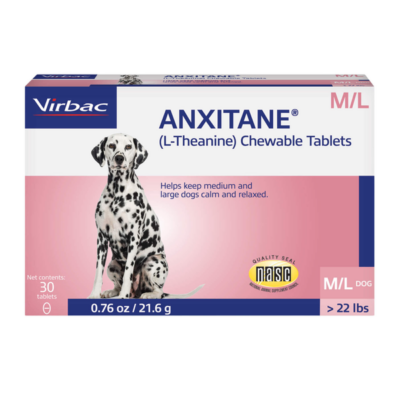 Cat Anxiety Medication: 9 Options to Consider | Great Pet Care