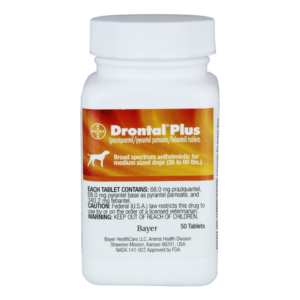 Best Dewormer for Dogs: 5 Vet-Approved Picks | Great Pet Care