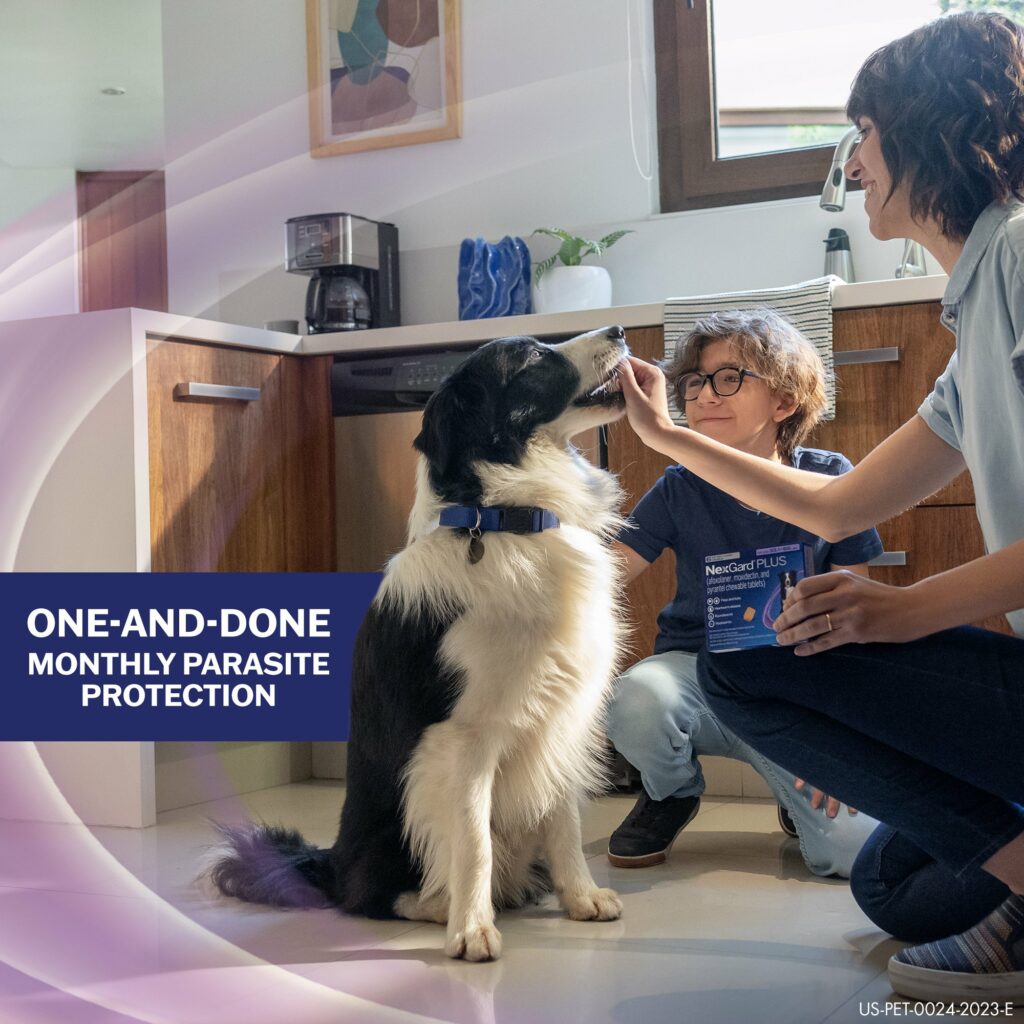 NexGard® PLUS | Great Pet Care