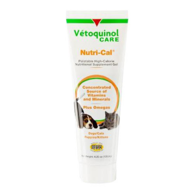 Appetite Stimulants for Dogs: 7 Vet-Recommended Picks | Great Pet Care