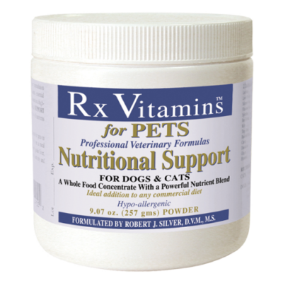 Appetite Stimulants for Dogs: 7 Vet-Recommended Picks | Great Pet Care