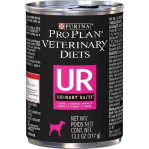 Urinary Dog Food: 6 Best Vet-Approved Formulas in 2024 | Great Pet Care