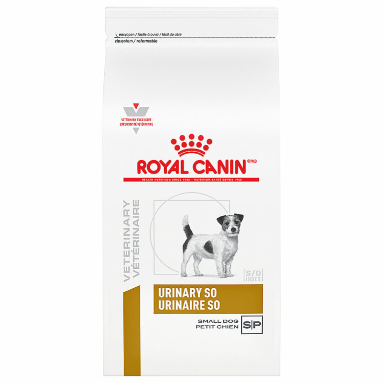 Urinary Dog Food: 6 Best Vet-Approved Formulas in 2024 | Great Pet Care