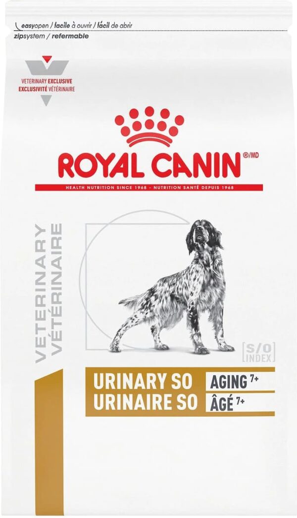 Urinary Dog Food: 6 Best Vet-Approved Formulas in 2024 | Great Pet Care