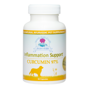 6 Vet-Approved Supplements for Dogs with Cancer | Great Pet Care