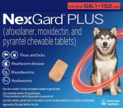 Best Heartworm Medicine for Dogs | Great Pet Care