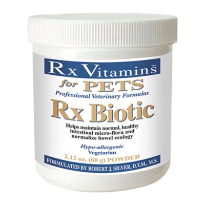 6 Vet-Approved Supplements for Dogs with Cancer | Great Pet Care