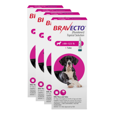 Bravecto for Dogs | Great Pet Care