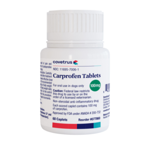 Dog Pain Relief: Medications and Tips to Ease Discomfort | Great Pet Care