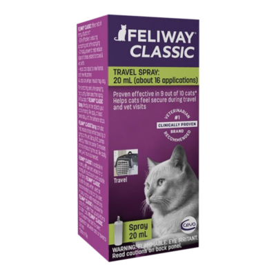 Best Vet-Approved Cat Sedatives for Travel | Great Pet Care