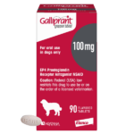 Dog Pain Relief: Medications and Tips to Ease Discomfort | Great Pet Care