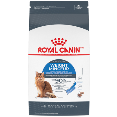 How to Help a Cat Lose Weight: 8 Things to Try | Great Pet Care