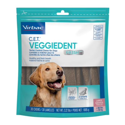 Rotten Dog Teeth: Causes, Signs, and What to Do | Great Pet Care