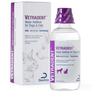 Rotten Dog Teeth: Causes, Signs, and What to Do | Great Pet Care