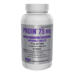 dog is peeing a lot | Great Pet Care